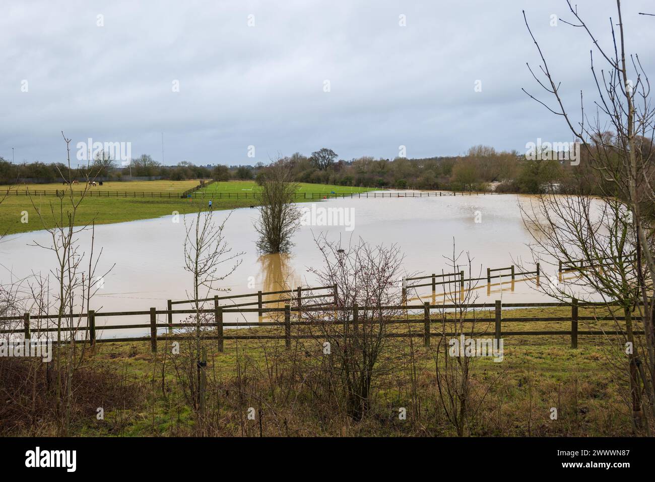 River nene northampton flooding hi-res stock photography and images - Alamy