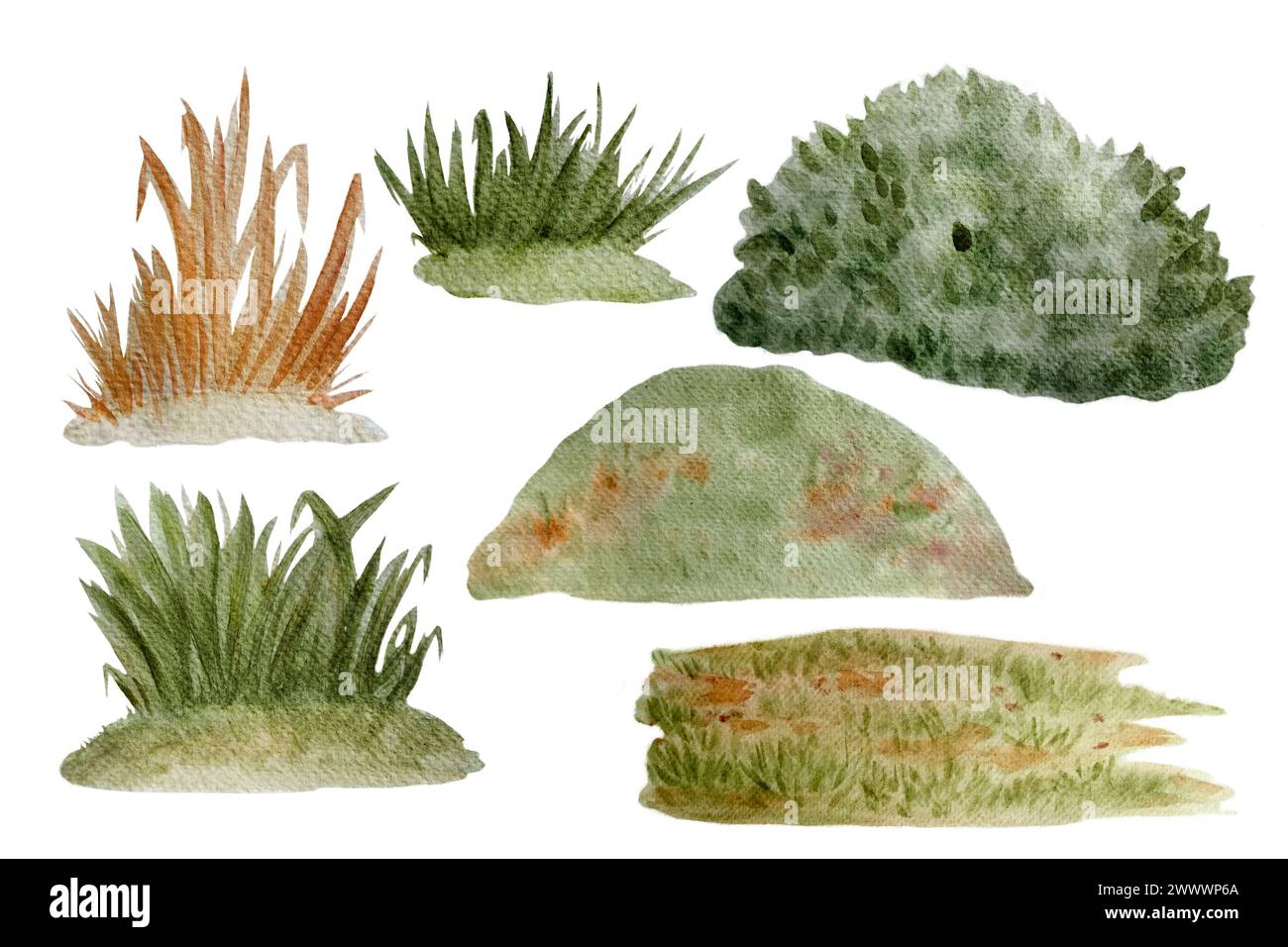 Grass , bush, mound watercolor illustration isolated on white Stock ...