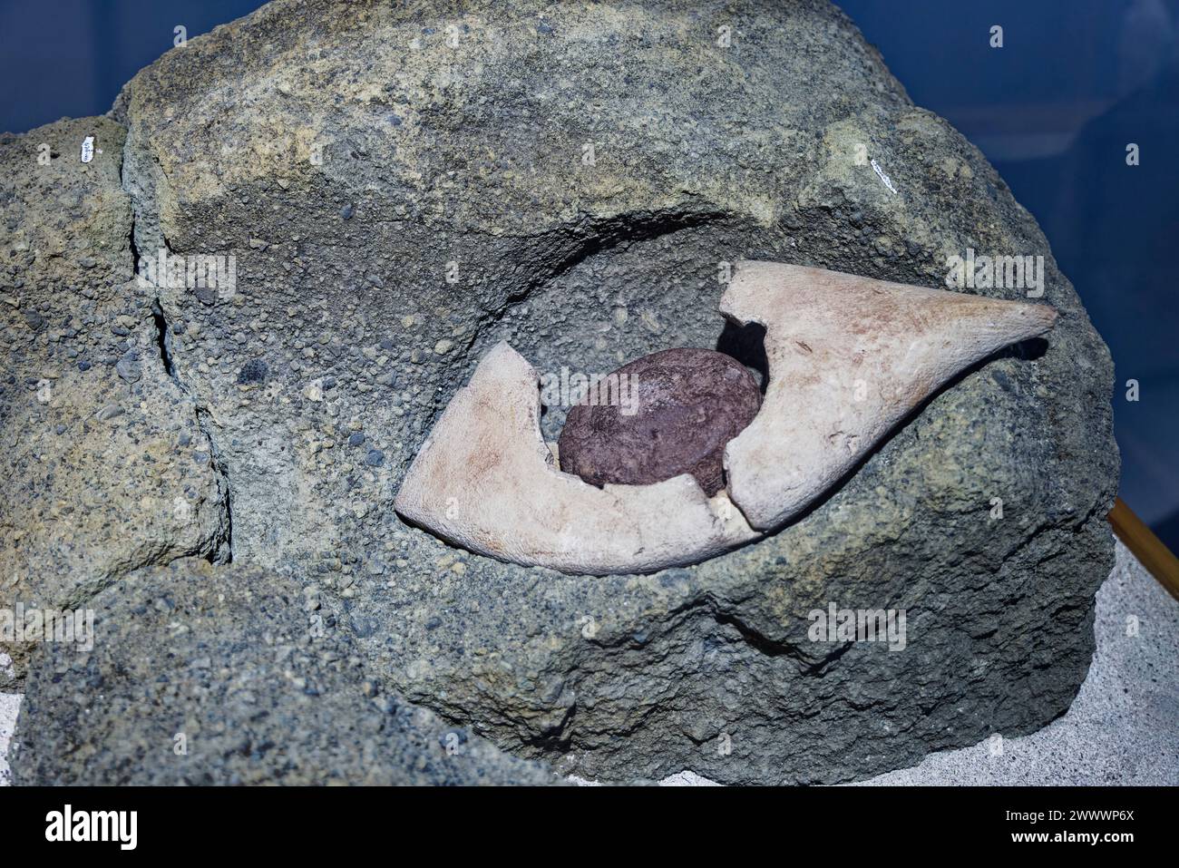 Ojo de moai hi-res stock photography and images - Alamy