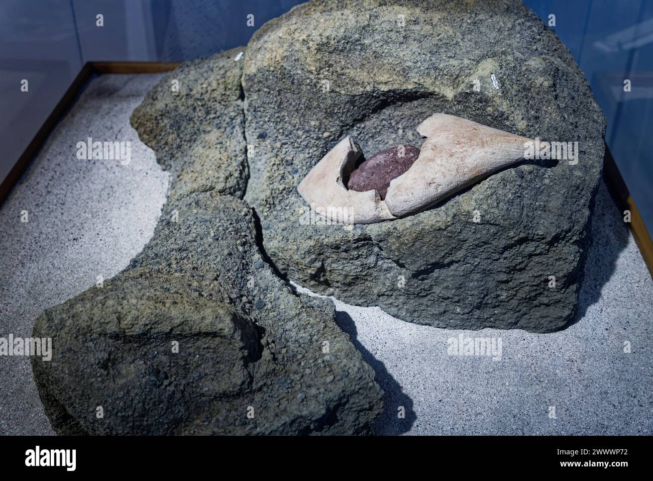 Hanga Roa, Easter Island, Chile. 28th Dec 2023. In 1978, during ...