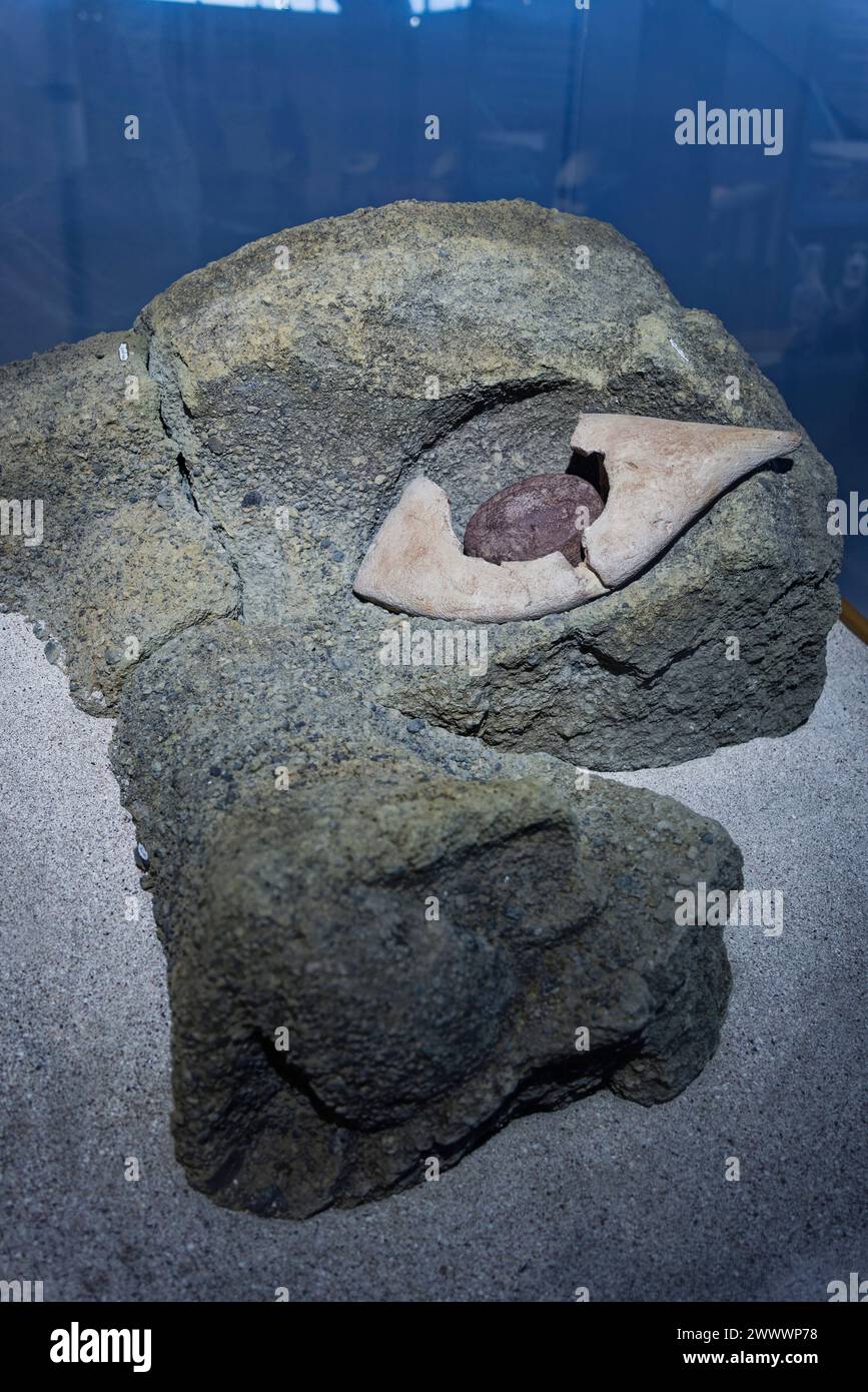 Hanga Roa, Easter Island, Chile. 28th Dec 2023. In 1978, during ...