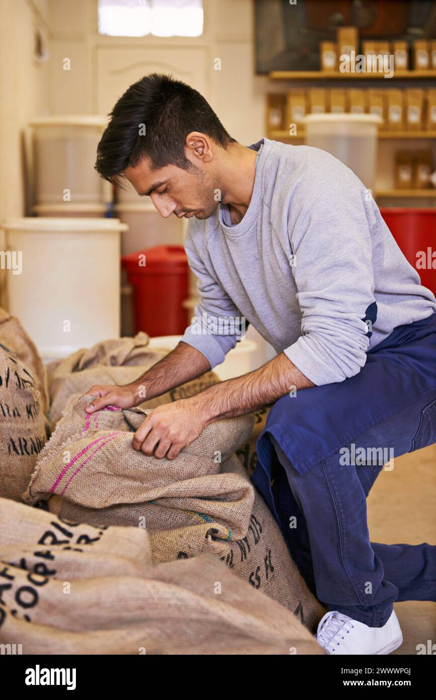 Inspection quality coffee beans hi-res stock photography and images - Alamy