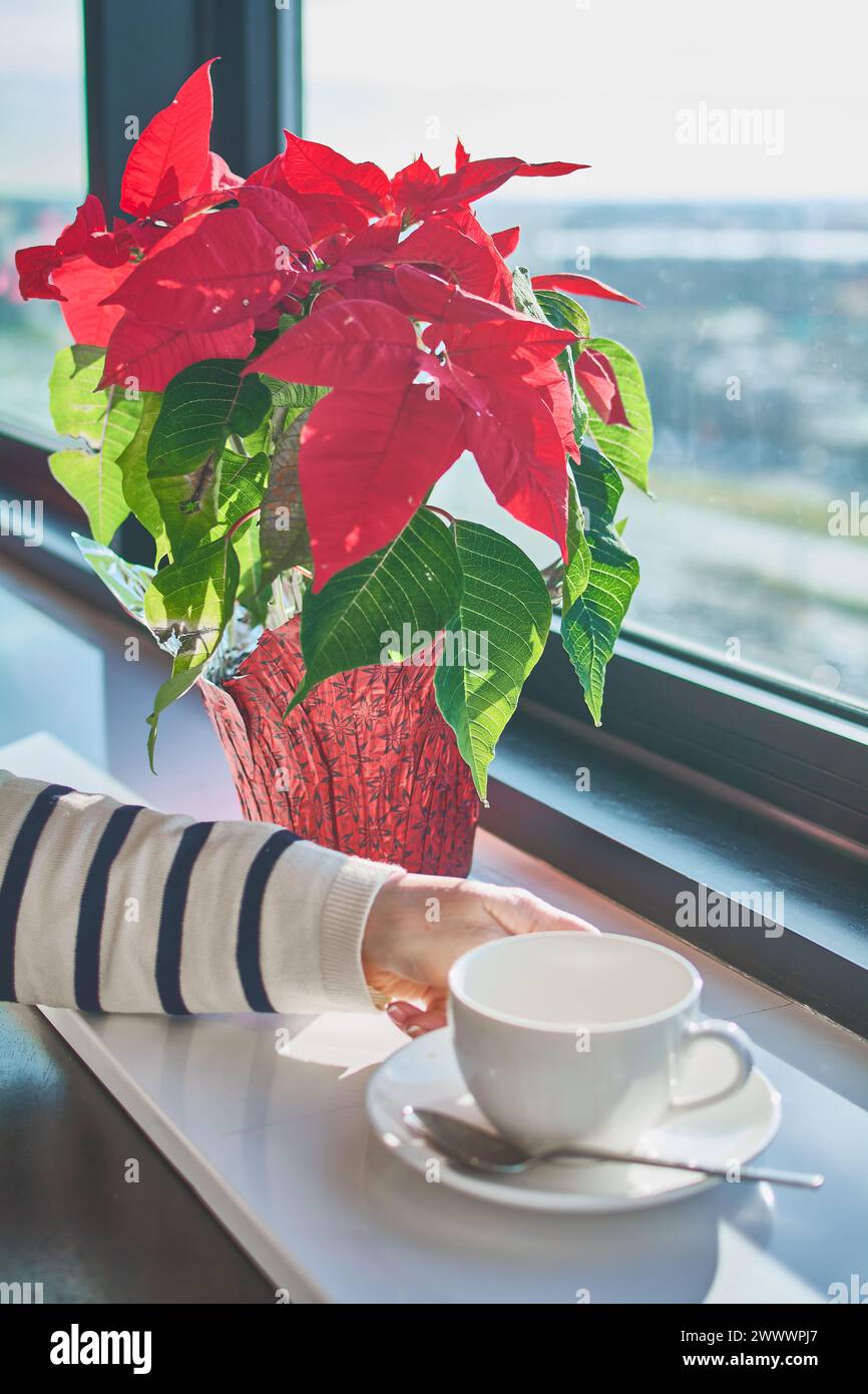 A peaceful sunrise is enhanced by a hot cup of coffee. Sunlight filters ...