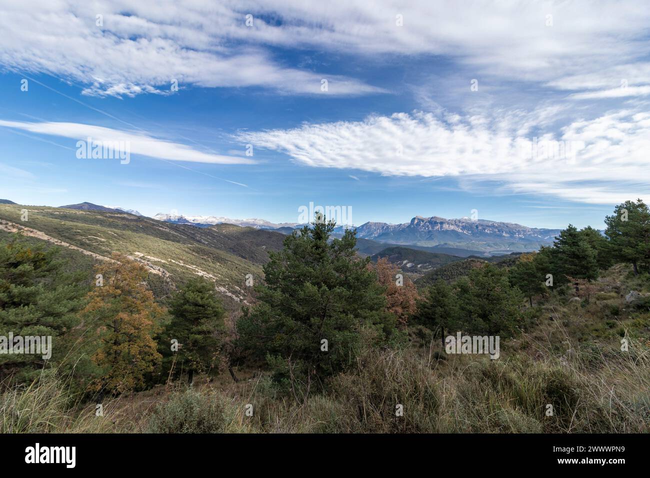 breathtaking landscape showcasing the serene beauty of nature with ...