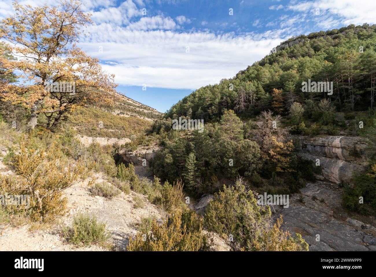 picturesque natural landscape highlighting the serene beauty and ...
