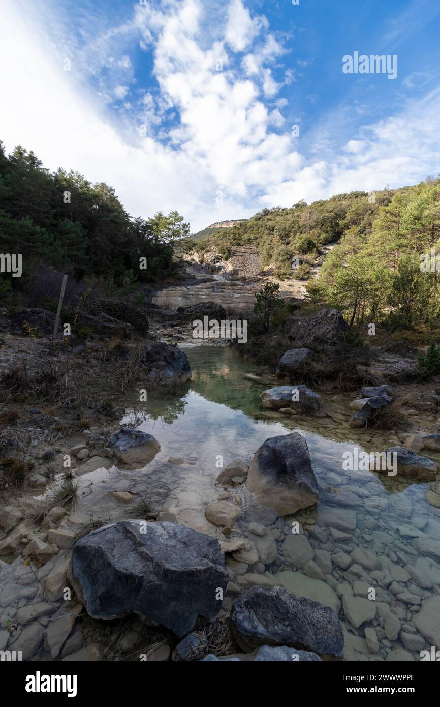 tranquil and pristine natural environment, showcasing the harmonious ...