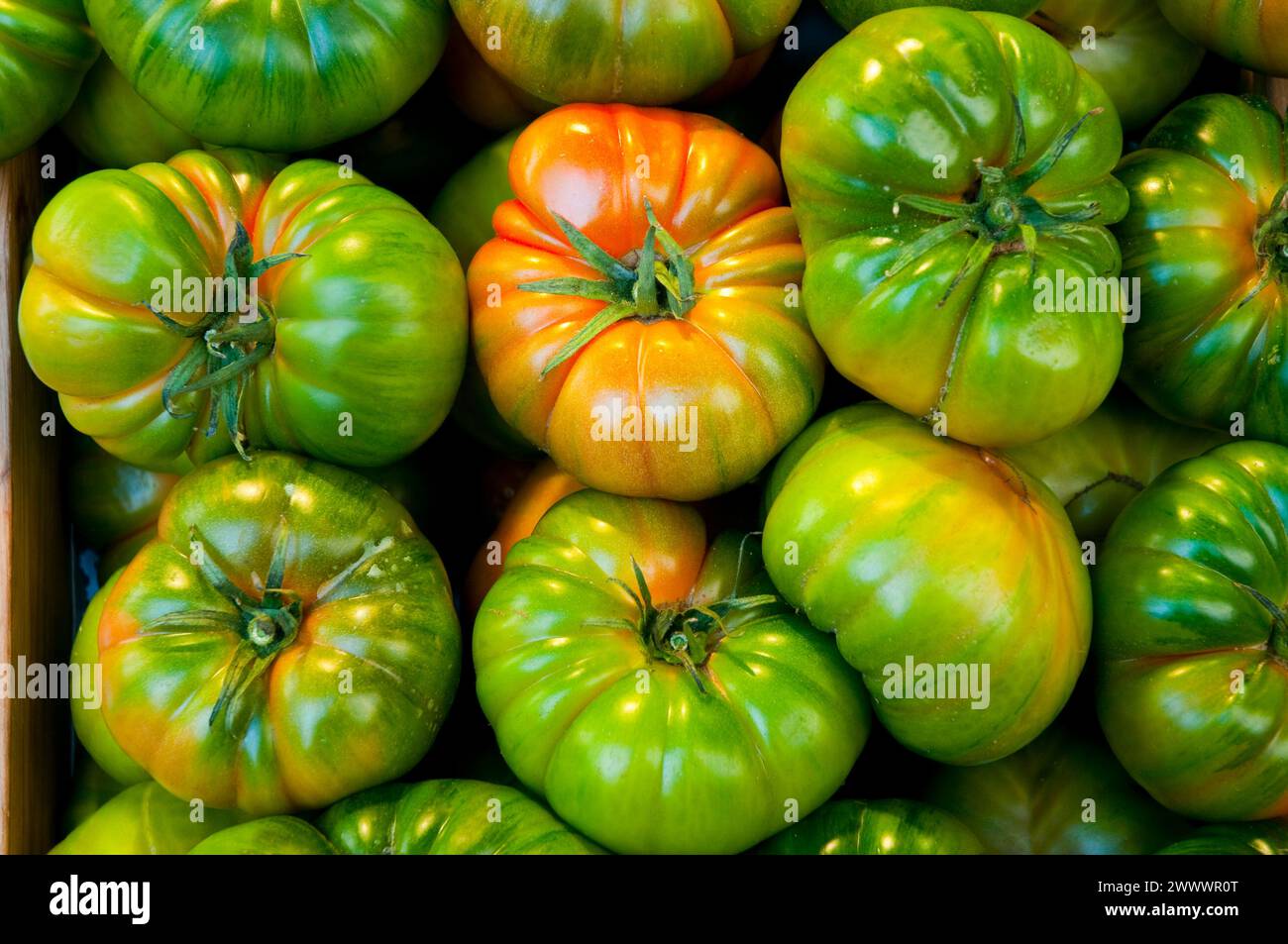 Raf tomate hi-res stock photography and images - Alamy