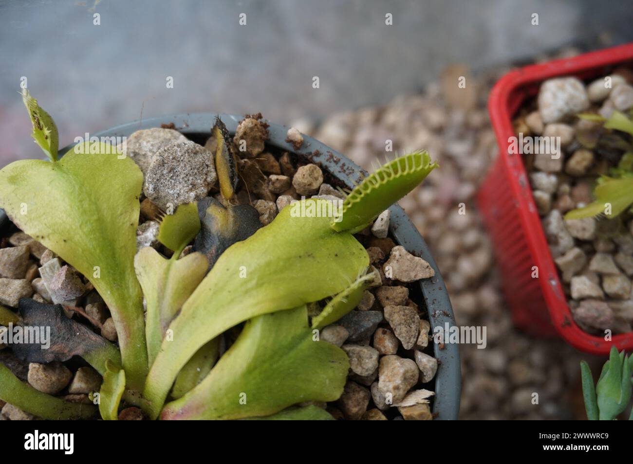 Wind traps hi-res stock photography and images - Alamy