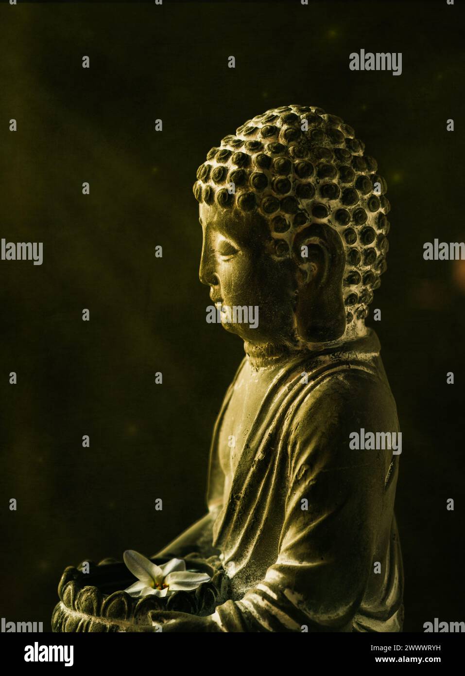 beautiful buddha against an abstract background with light rays ...
