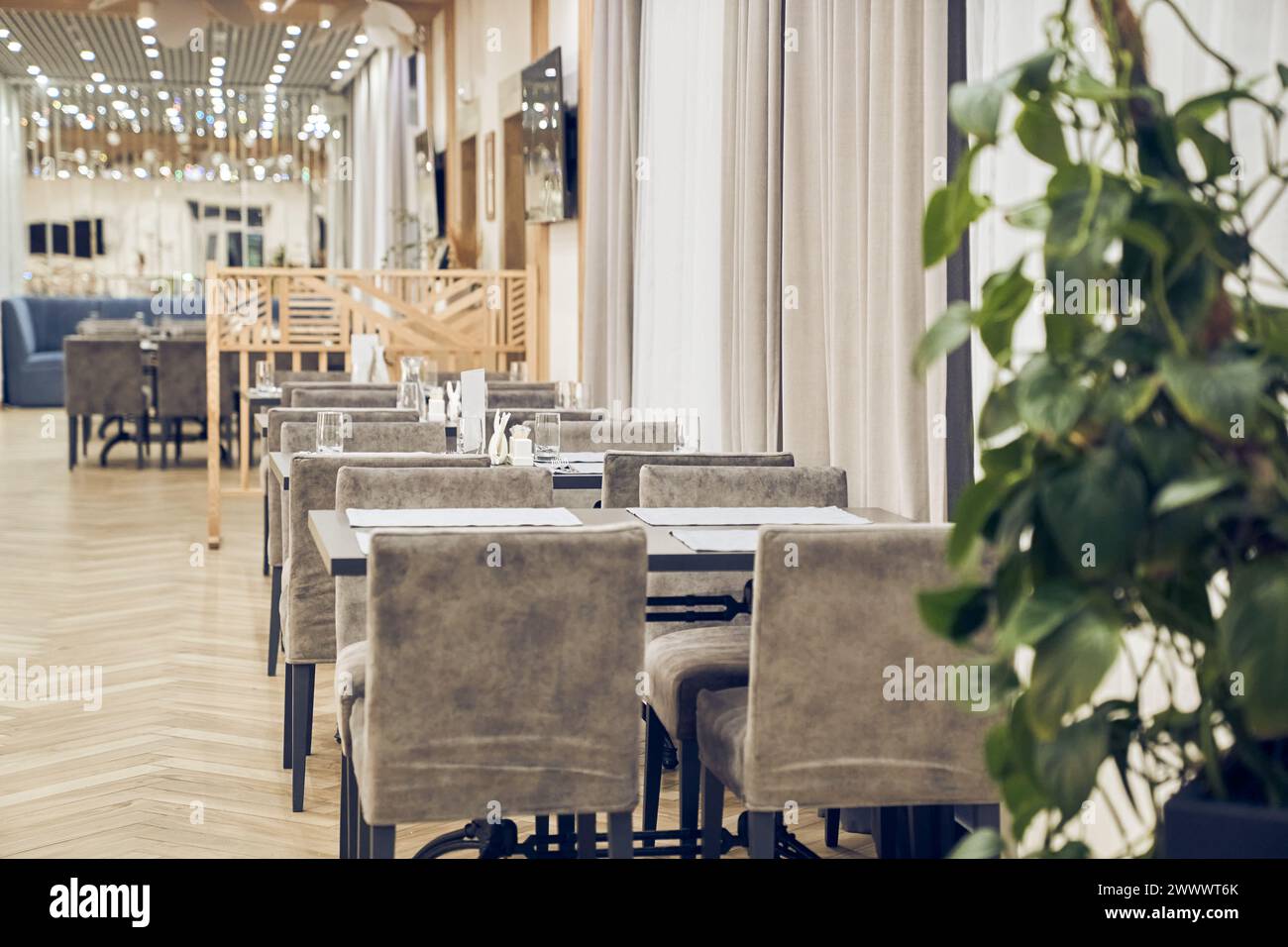 Interior design of restaurant with tables and soft chairs, wooden floor ...