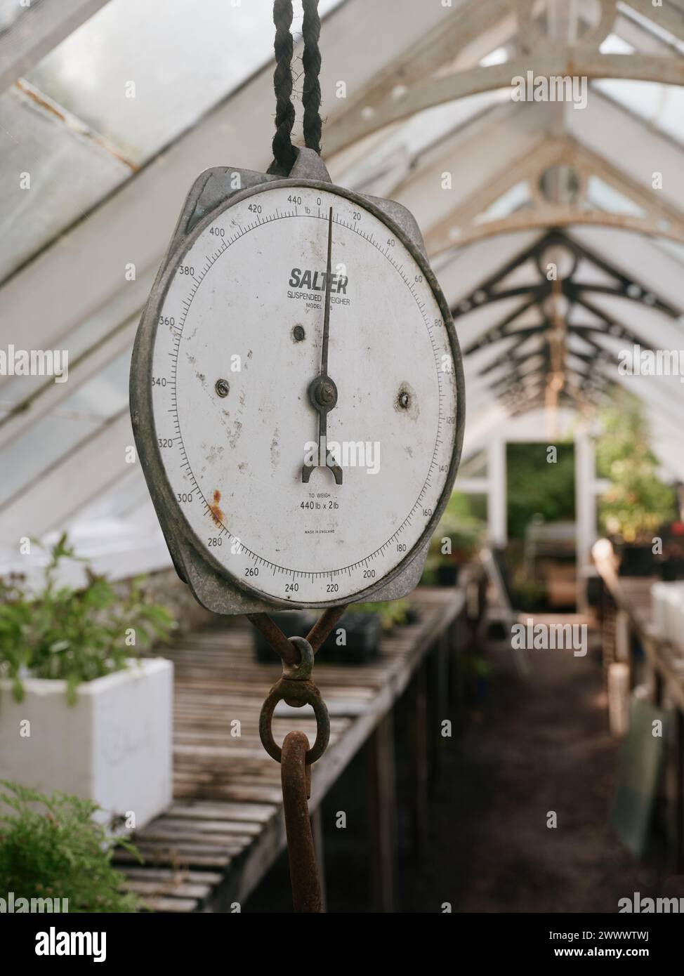 Greenhouse scales at the Applecross Walled Garden in Applecross, Wester ...