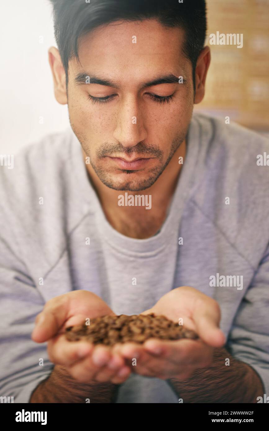 Man, holding coffee beans and production with smell, thinking and ...