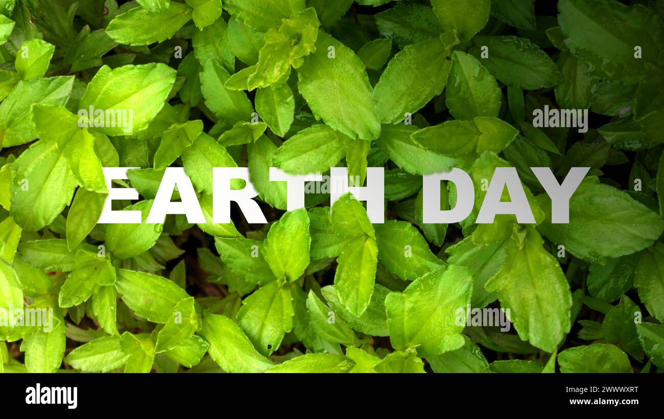 Closeup view of green leaves with Earth Day message. Earth day concept ...