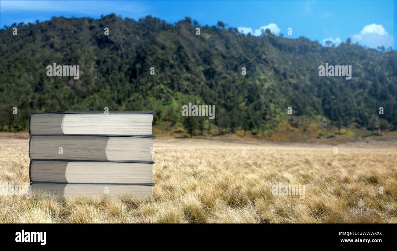 World book days concept, pile of books with the beautiful landscape ...