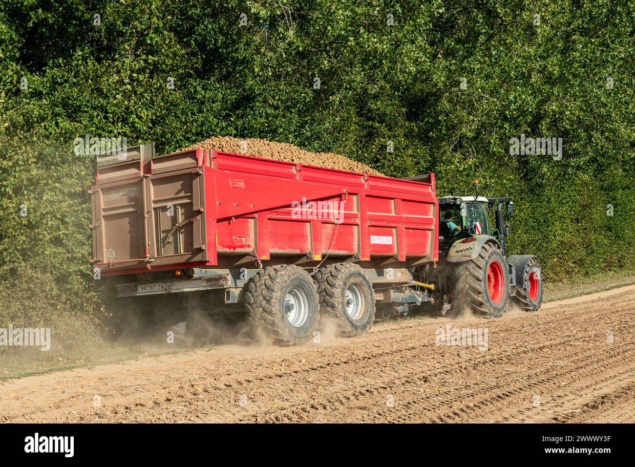 Potato harvesting tractor hi-res stock photography and images - Alamy
