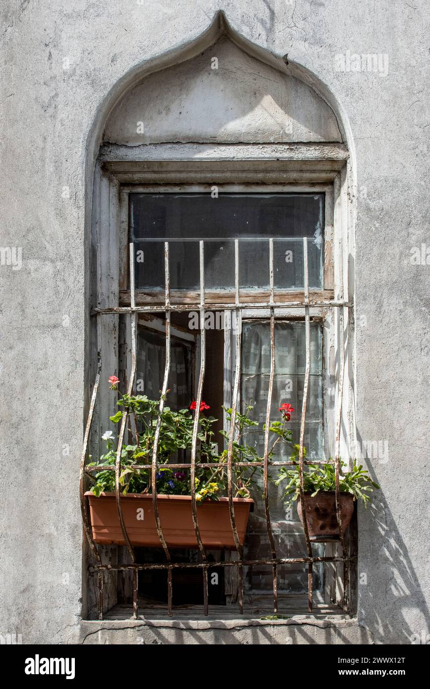 A window with distinct, onion-dome design, metal bars and a flower box ...