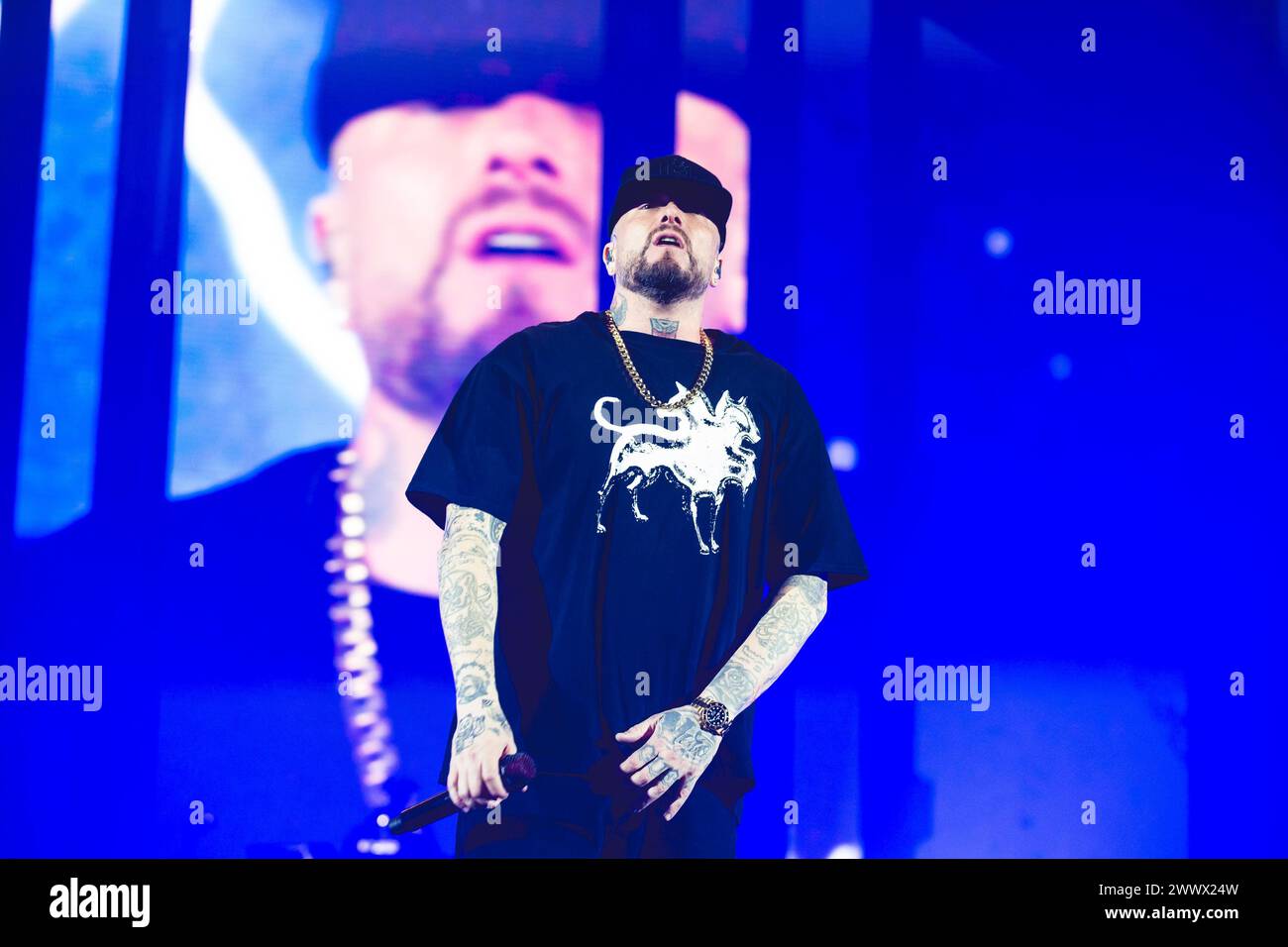 Cosimo fini hi-res stock photography and images - Alamy