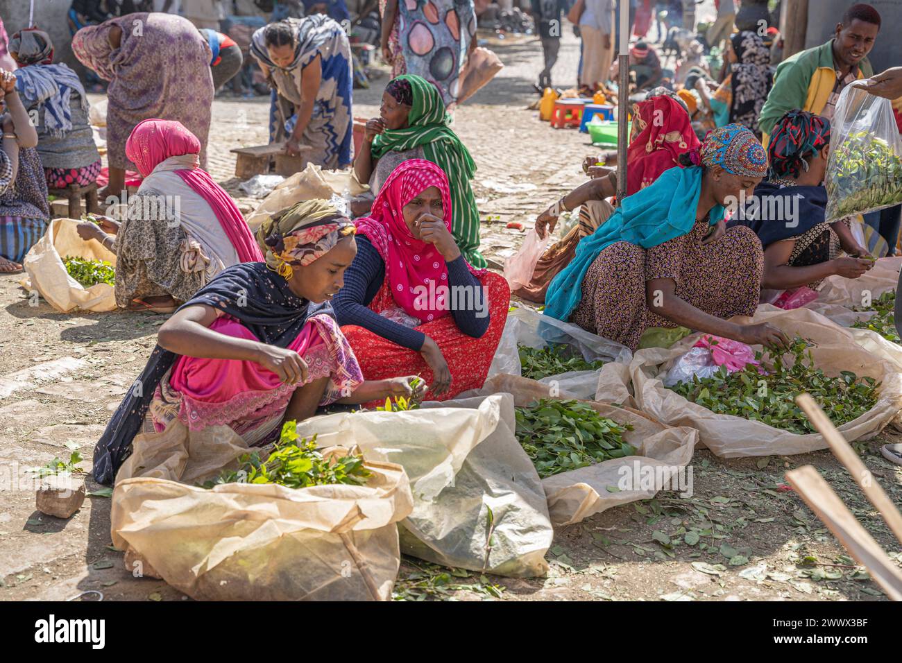 Town market in Harar, Ethiopia Stock Photo - Alamy