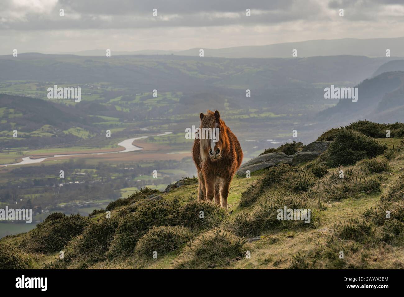 Carneddau mountains hi-res stock photography and images - Alamy