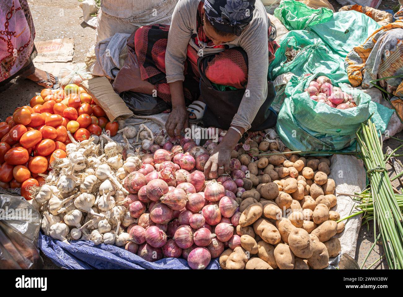 The colorful market of Harar (Harer), Ethiopia Stock Photo - Alamy