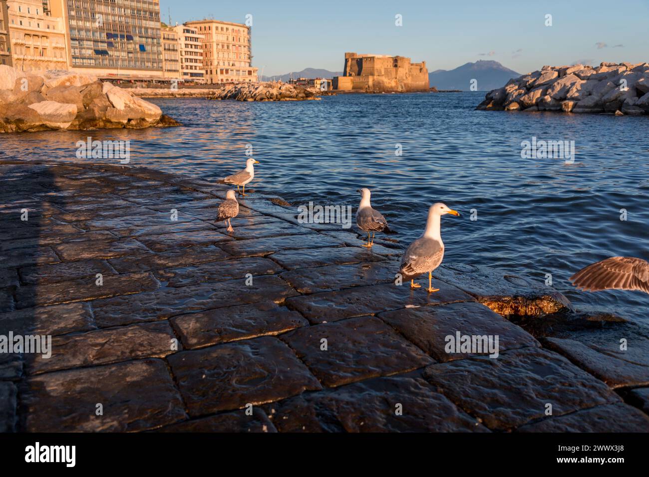 Castel dell'Ovo, lietrally, the Egg Castle is a seafront castle in ...