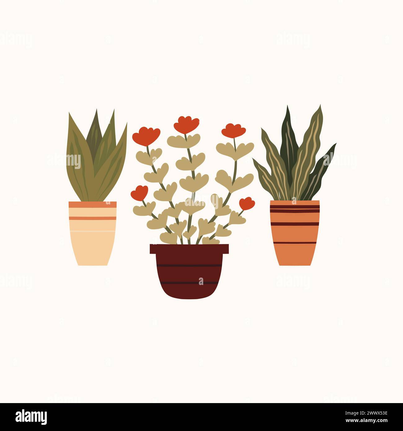 Geranium plants in pots Stock Vector Images - Alamy