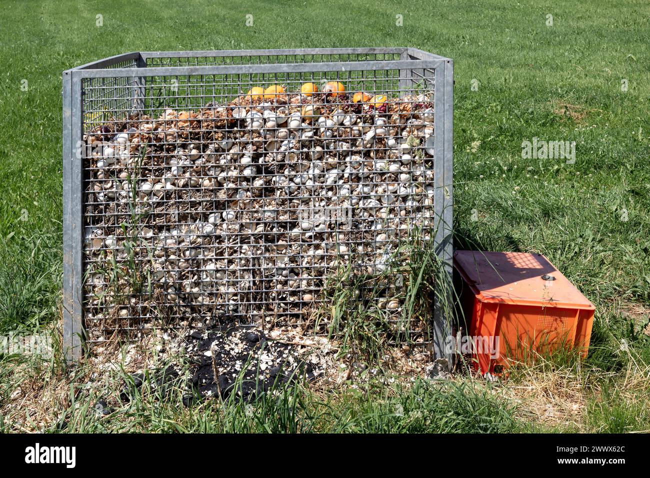 Composting plant hi-res stock photography and images - Alamy