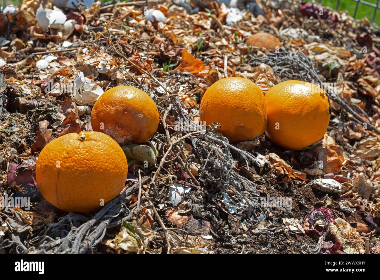 Biowaste, Composting Plant Stock Photo - Alamy