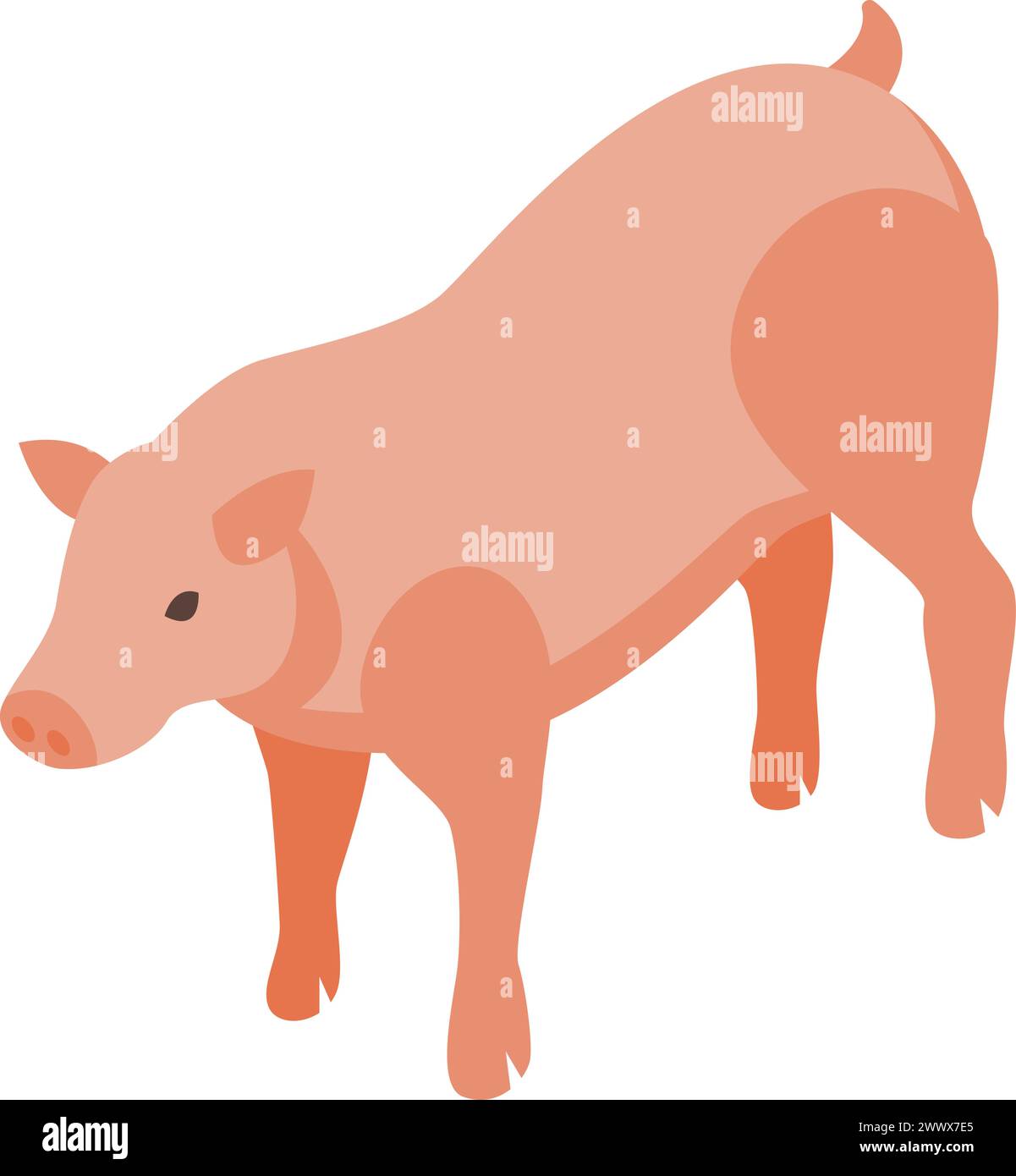 Funny pig animal icon isometric vector. Farm nature agriculture ...