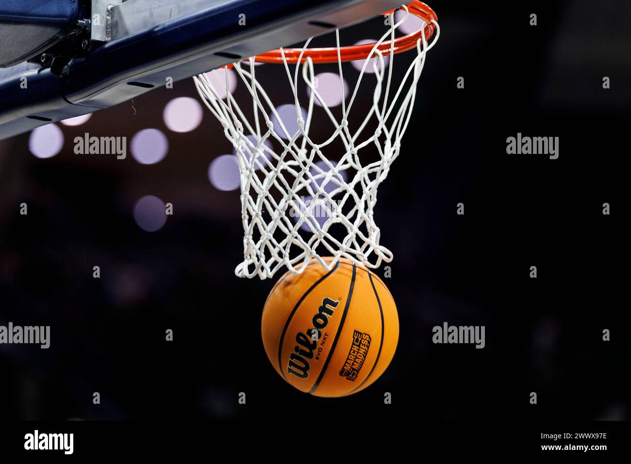 March 25, 2024: A general view of basketball with March Madness logo in ...