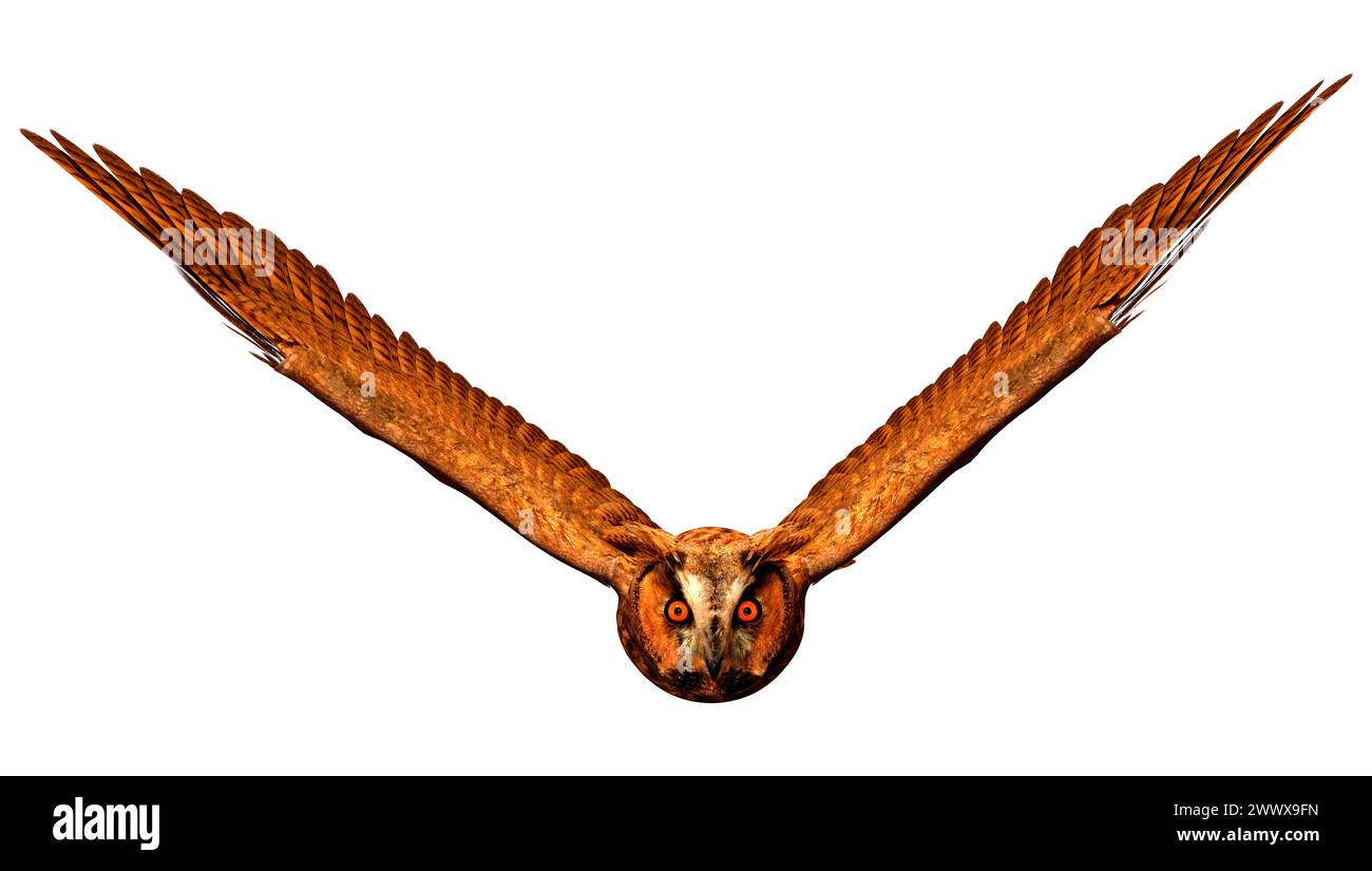 3D rendering of a brown eagle owl isolated on white background Stock ...