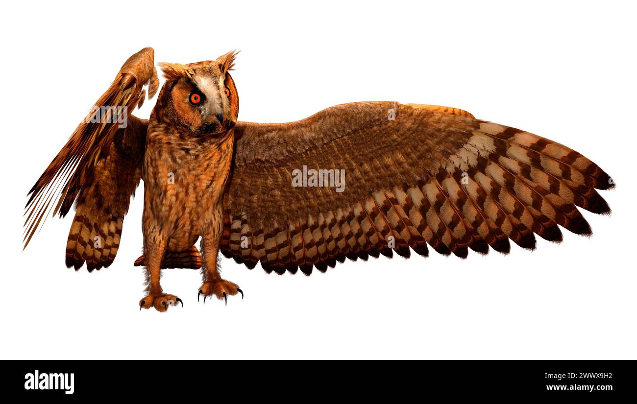 3D rendering of a brown eagle owl isolated on white background Stock ...