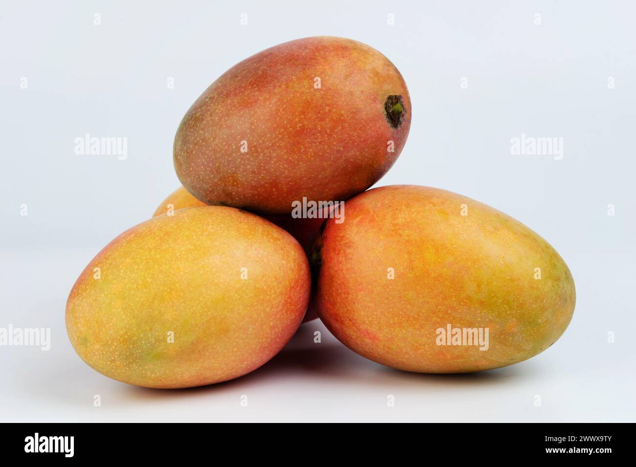 Clean orange color mango fruits in stack isolated on white studio ...