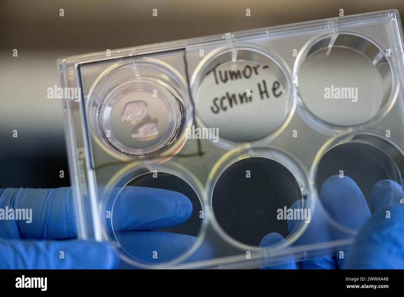 Thanks to animal research hi-res stock photography and images - Alamy