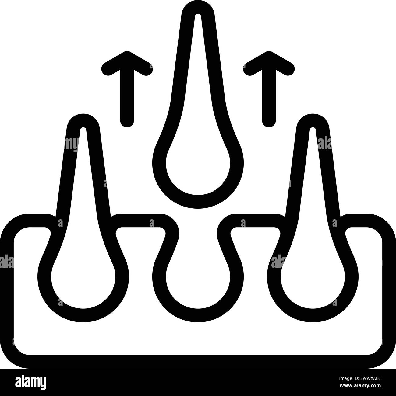 Follicular units hi-res stock photography and images - Alamy