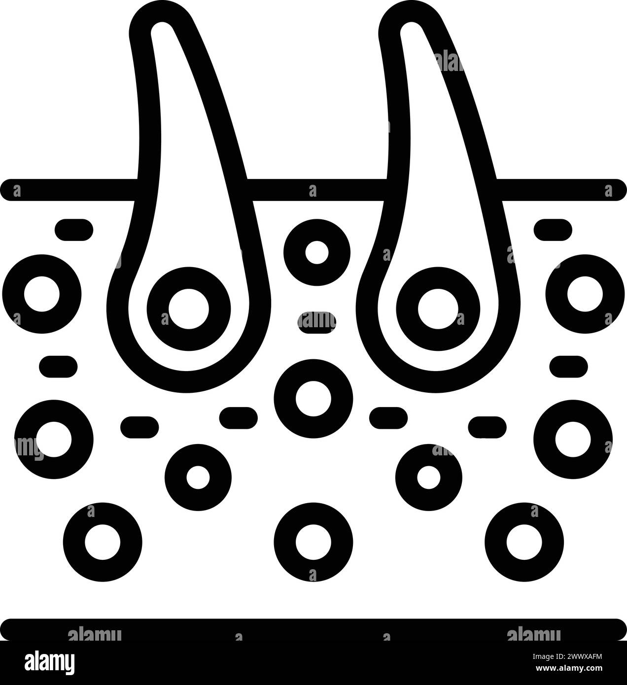 Examination Of The Scalp Stock Vector Images Alamy