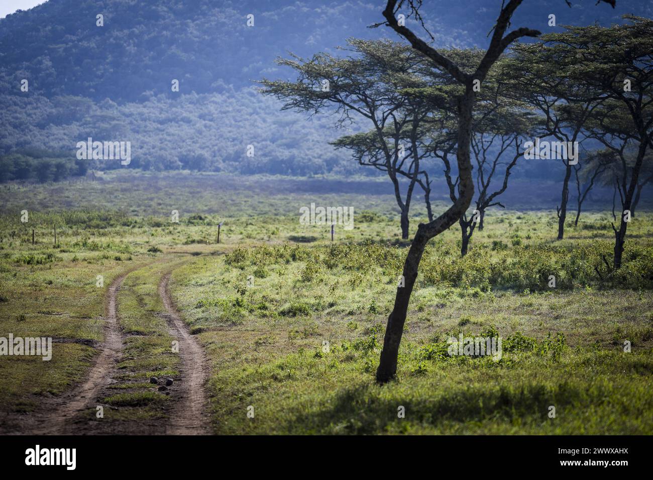 ambiance during the Safari Rally Kenya 2024, 3rd round of the 2024 WRC ...