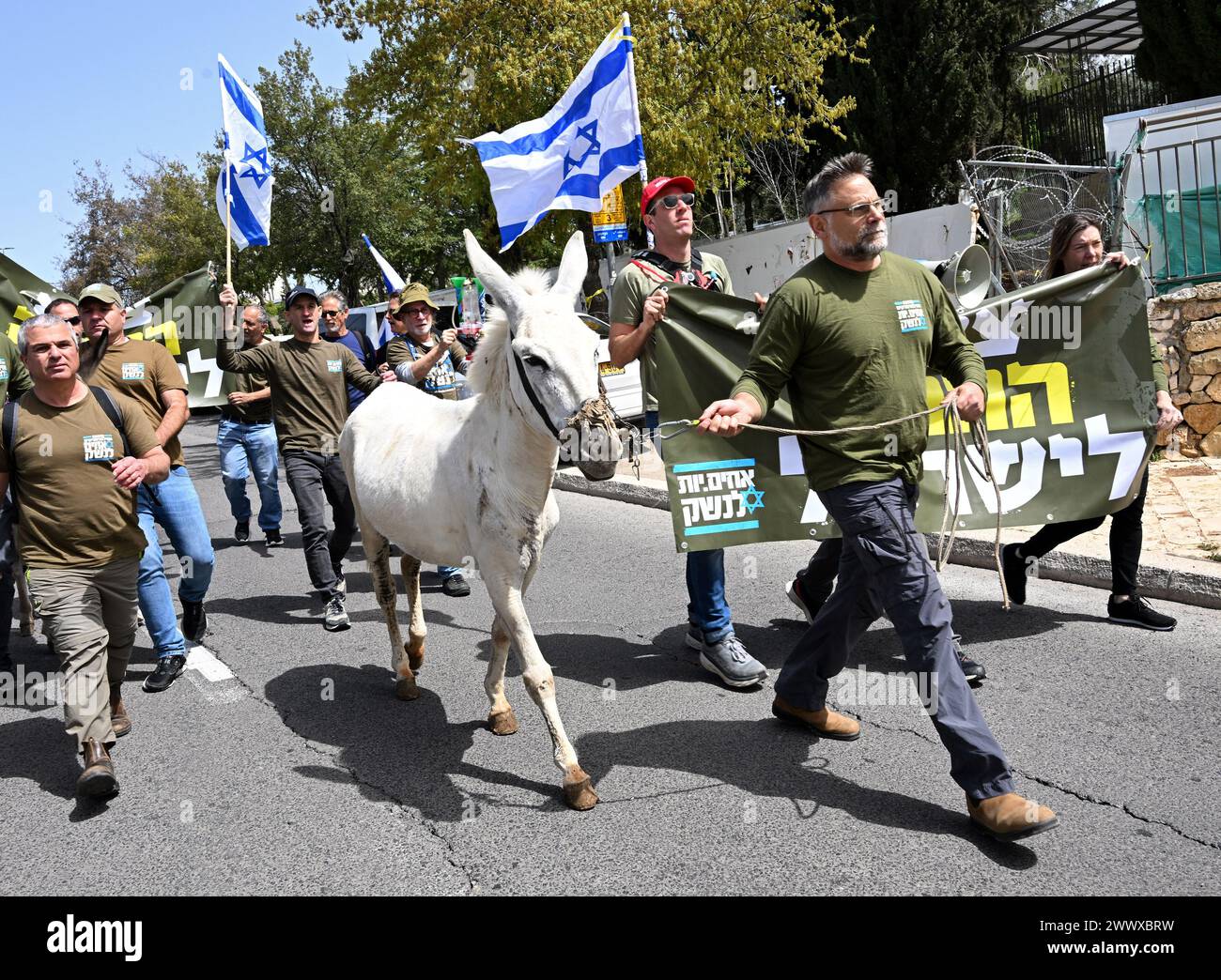 Israeli army reserve activists from Brother In Arms walk with a donkey ...
