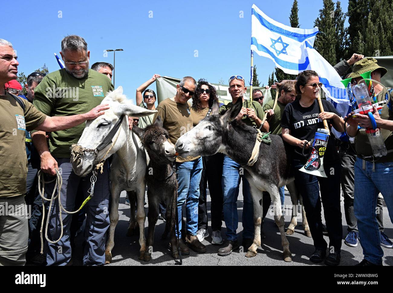 Donkeys in the military hi-res stock photography and images - Alamy