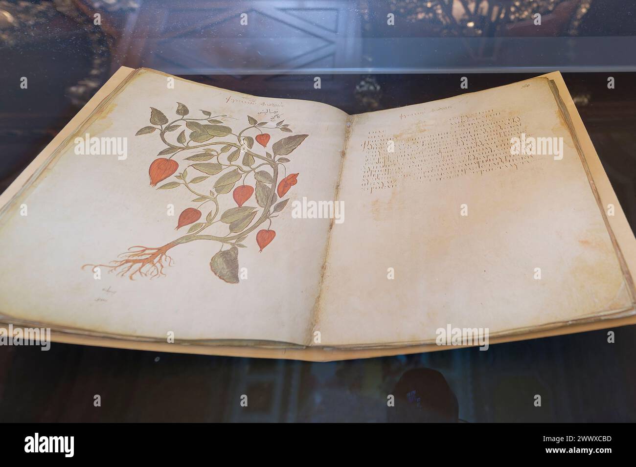 Vienna, Austria. State hall of the Austrian National Library. The codex ...