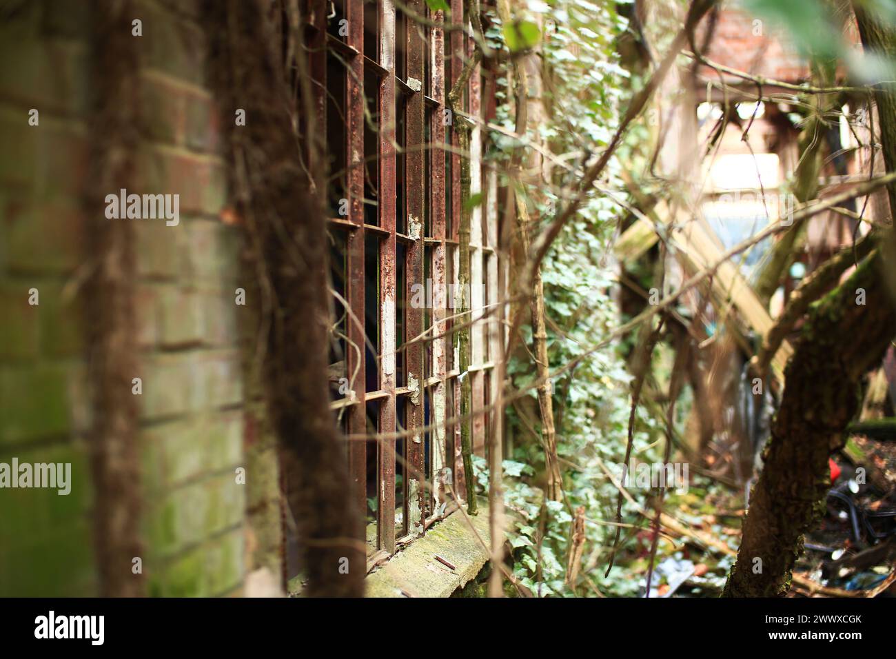 Abandoned rusty metal window frames without glass Stock Photo - Alamy