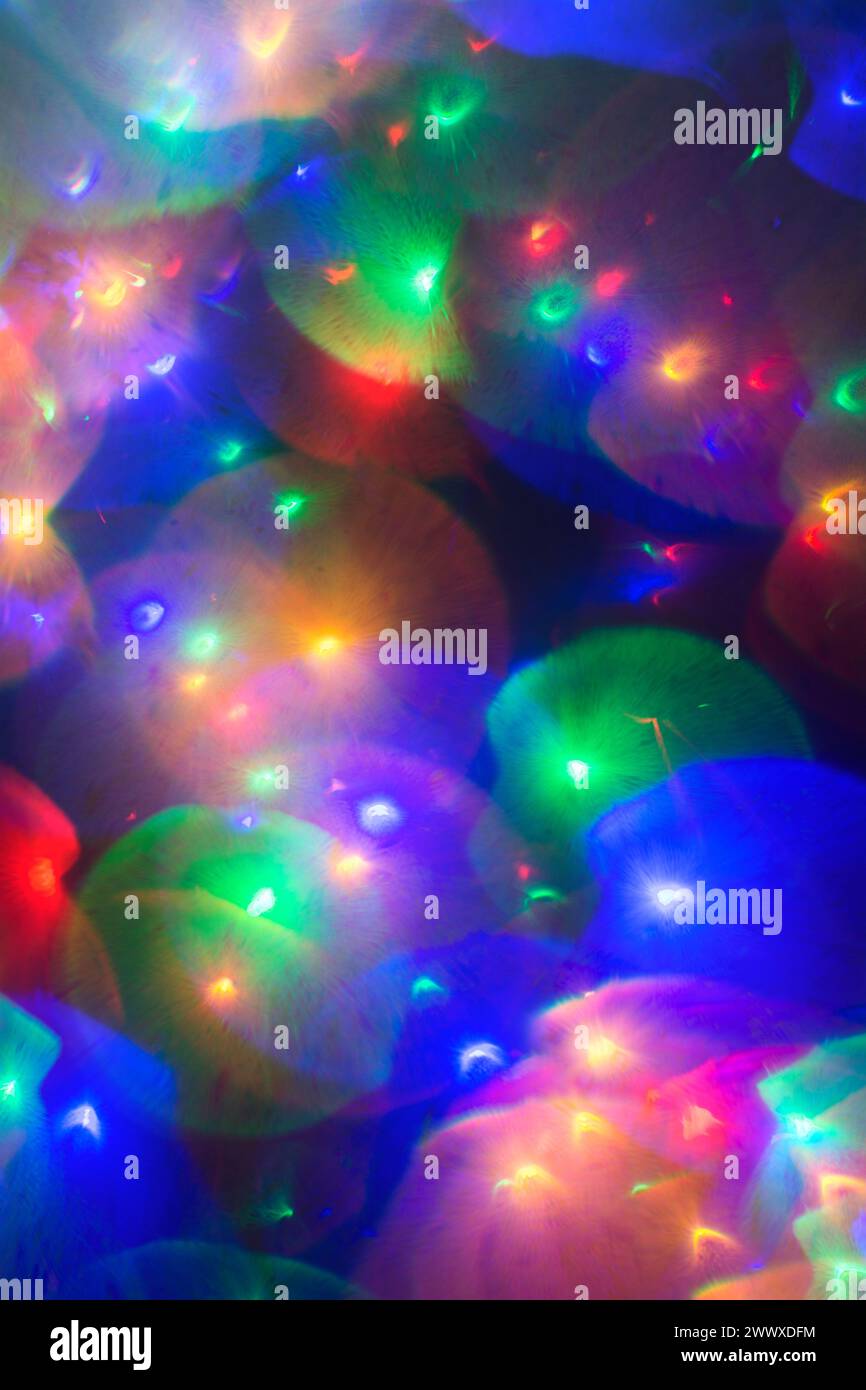 Out of focus Christmas lights, colourful with flare Stock Photo - Alamy