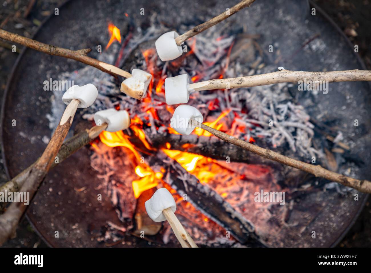 Roast marshmallows on a fireplace with orange flames outside in nature ...