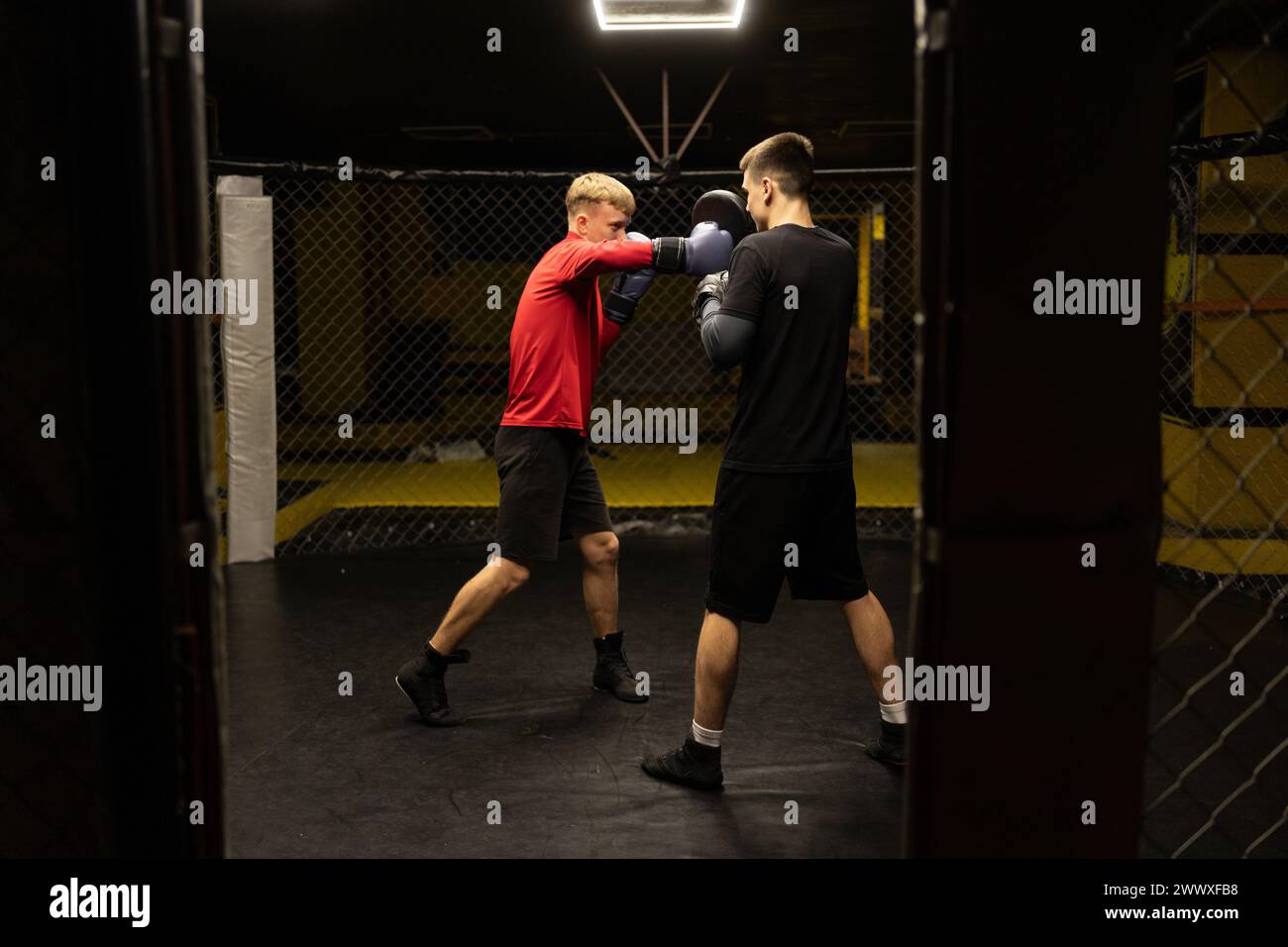 Two professional boxer boxing in dark gym. Boxer training concept Stock ...
