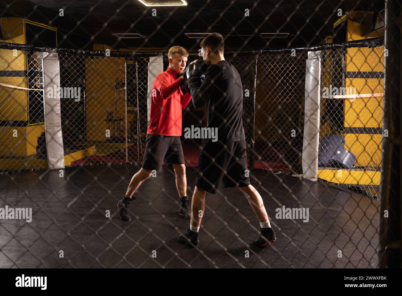 Two young professional boxer boxing in gym cage Stock Photo - Alamy