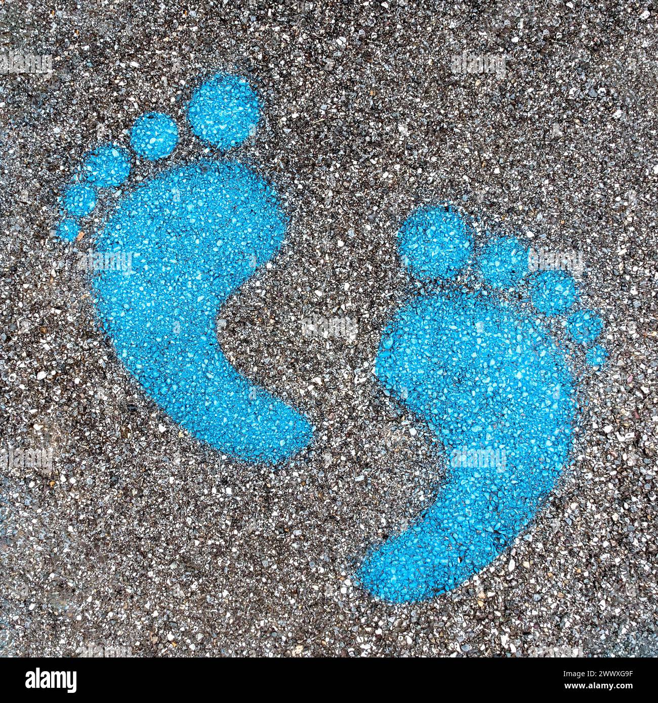 Blue footprint signs on an asphalt road for pedestrian. Symbol of ...