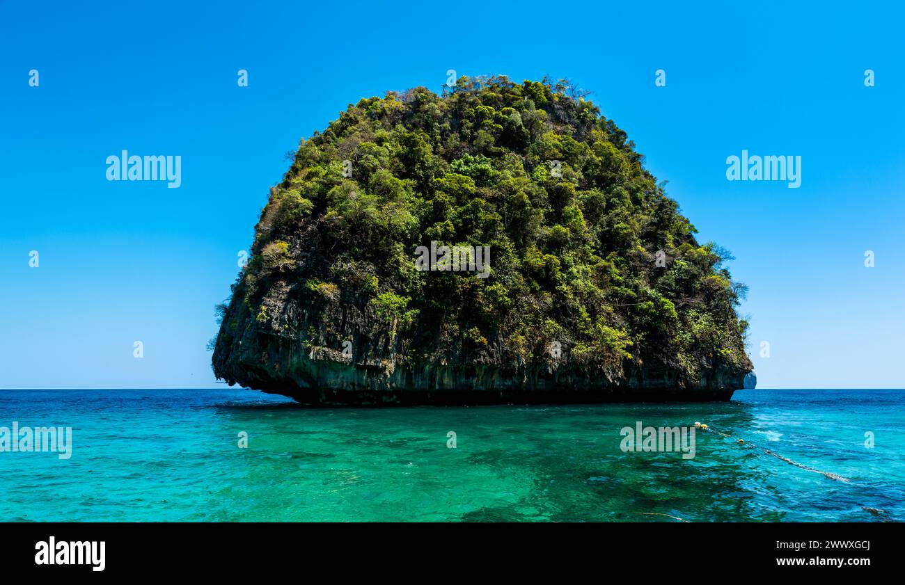 Beautiful nature on Phi Phi island in Thailand Stock Photo - Alamy