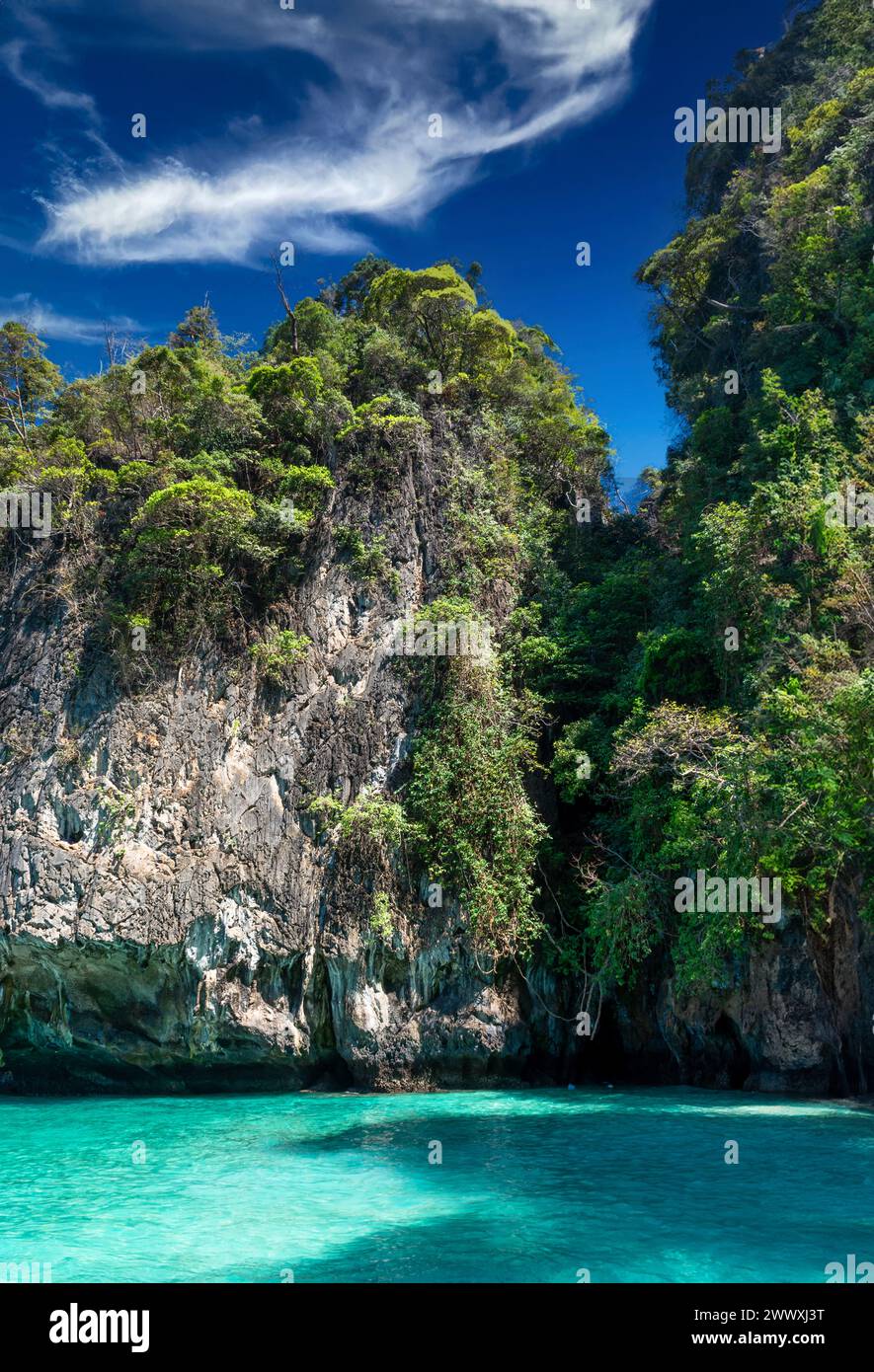 Beautiful nature on Phi Phi island in Thailand Stock Photo - Alamy