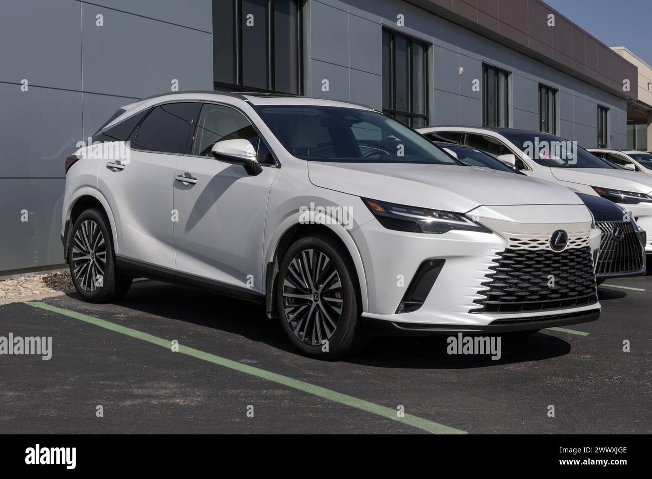 Indianapolis - March 24, 2024: Lexus RX 350 display at a dealership ...