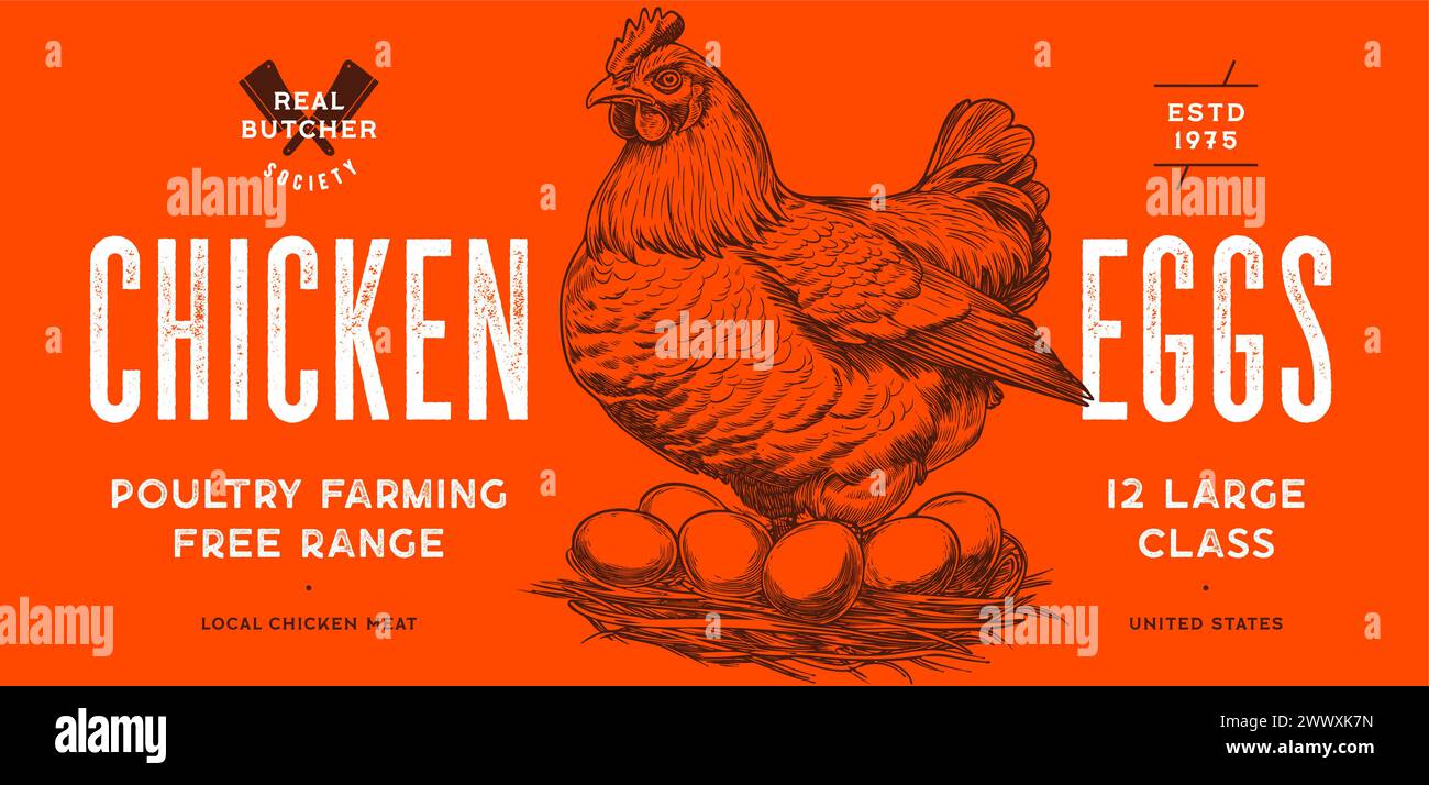 Cartoon chicken chicken drawing hi-res stock photography and images - Alamy